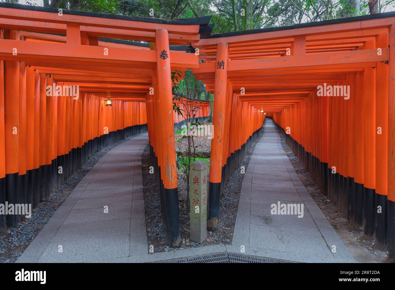 Senbon-torii gate of Fushimi Inari-taisha Shrine Stock Photo - Alamy