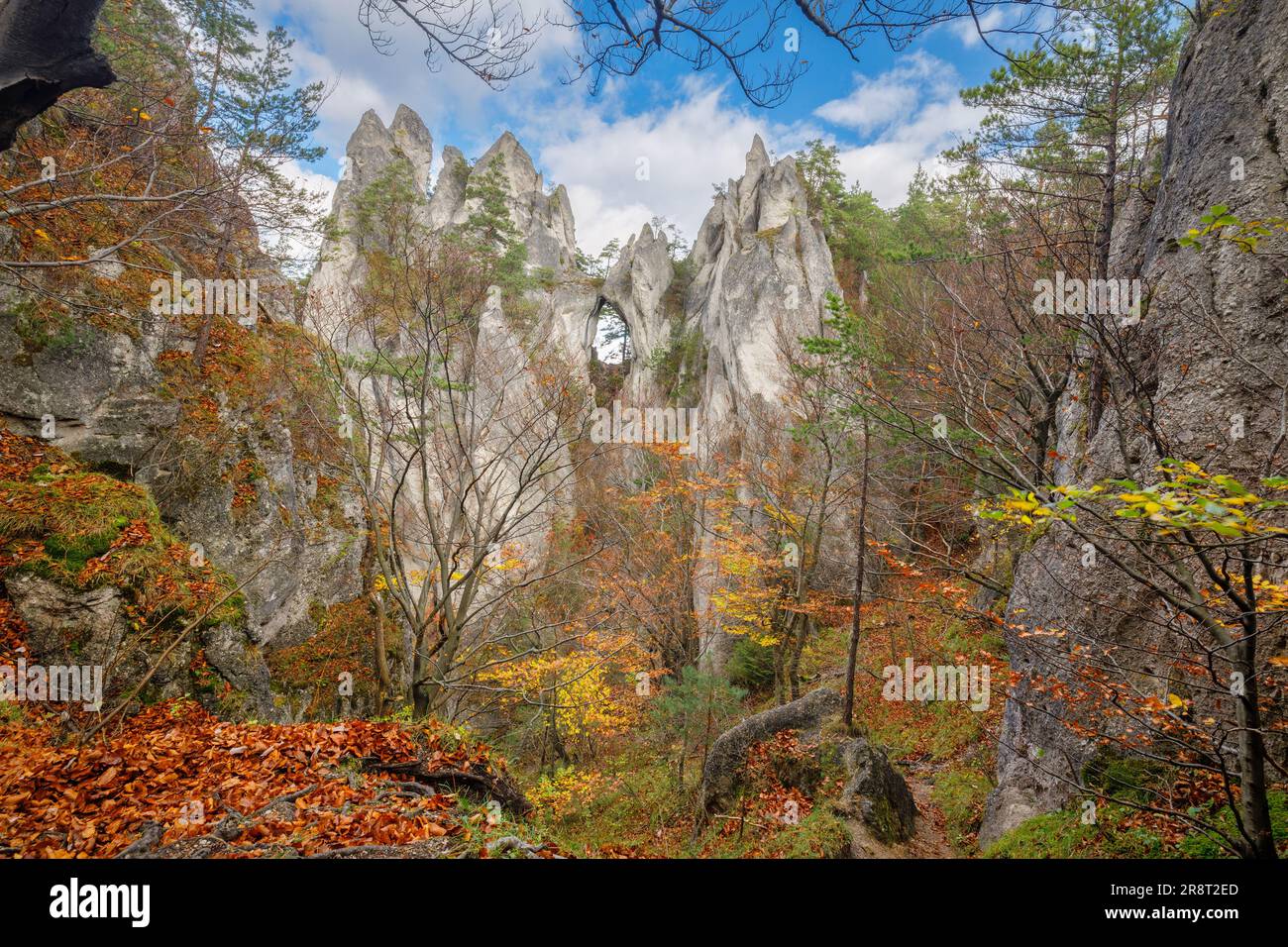 Autumn mountain landscape with rocky gate. The Sulov Rocks, national ...
