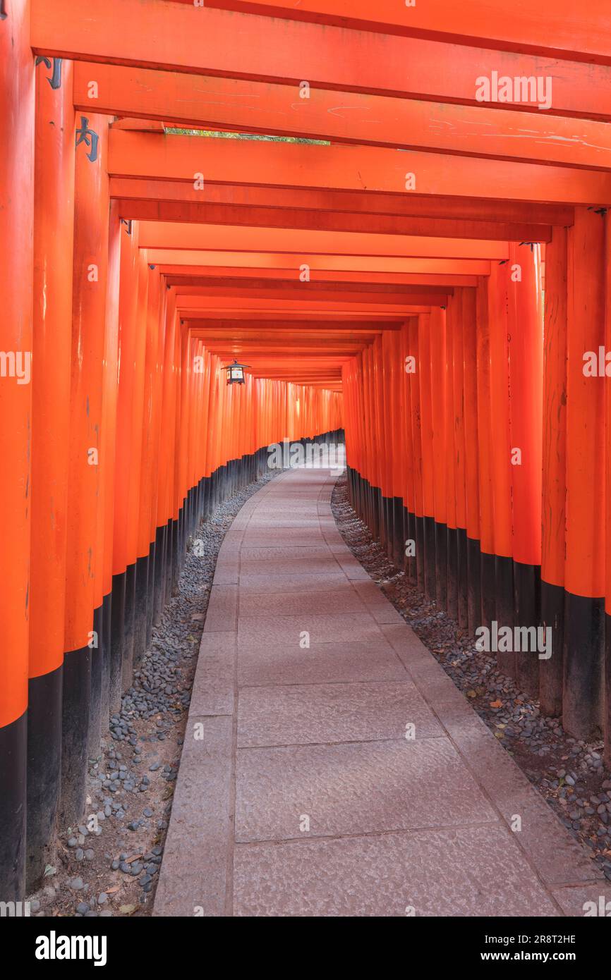 Senbon-torii gate of Fushimi Inari-taisha Shrine Stock Photo - Alamy