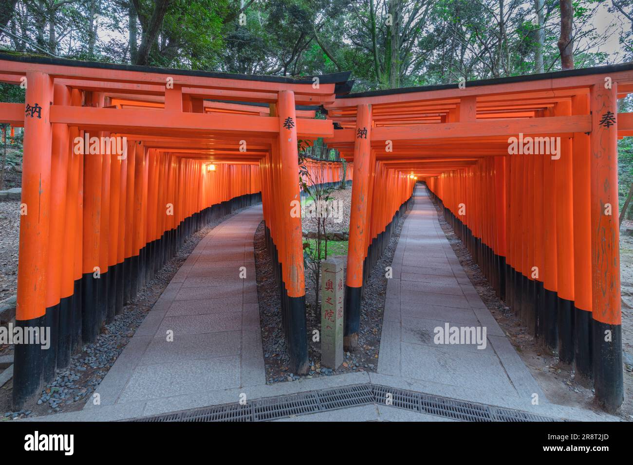 Senbon-torii gate of Fushimi Inari-taisha Shrine Stock Photo - Alamy