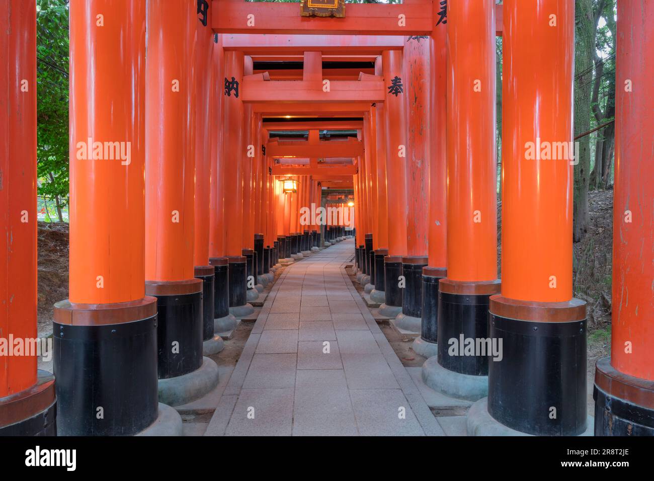Senbon-torii gate of Fushimi Inari-taisha Shrine Stock Photo - Alamy