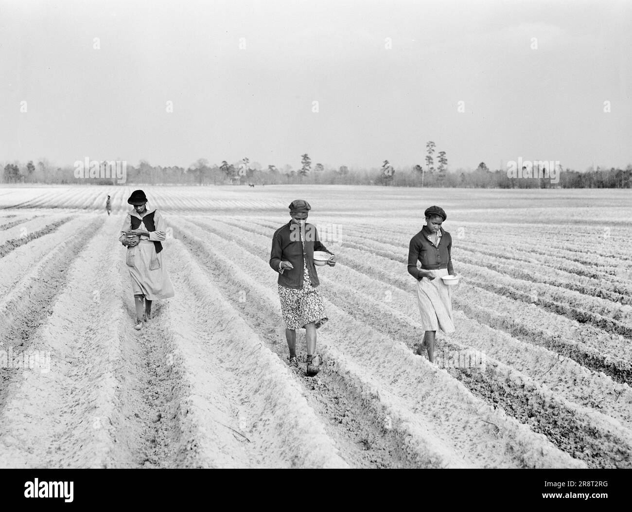 Vintage plantation workers Black and White Stock Photos & Images - Alamy