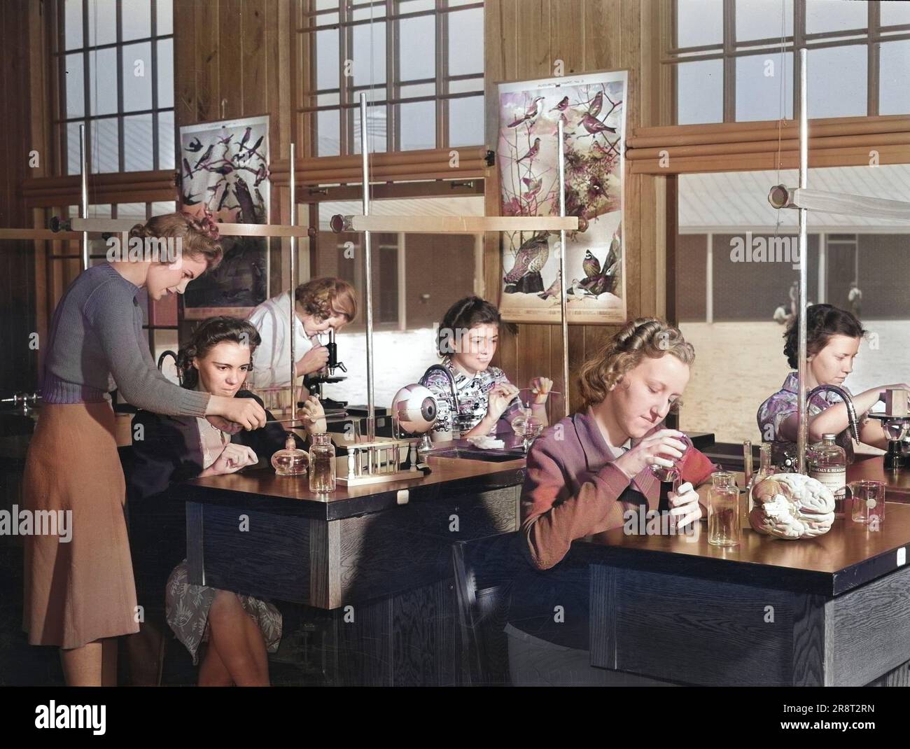 Ashwood plantations hi-res stock photography and images - Alamy