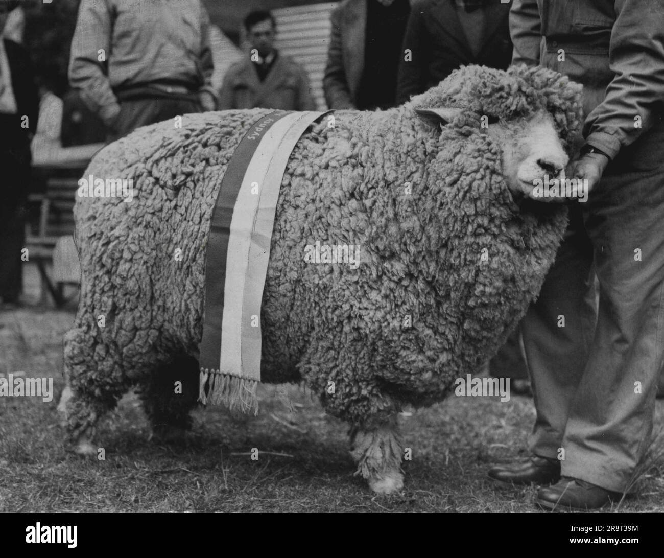 Gordon herbert short hi-res stock photography and images - Alamy