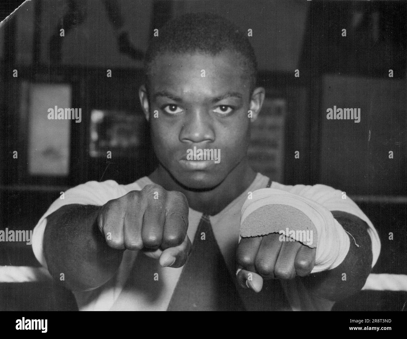 Stewart boxer hi-res stock photography and images - Alamy
