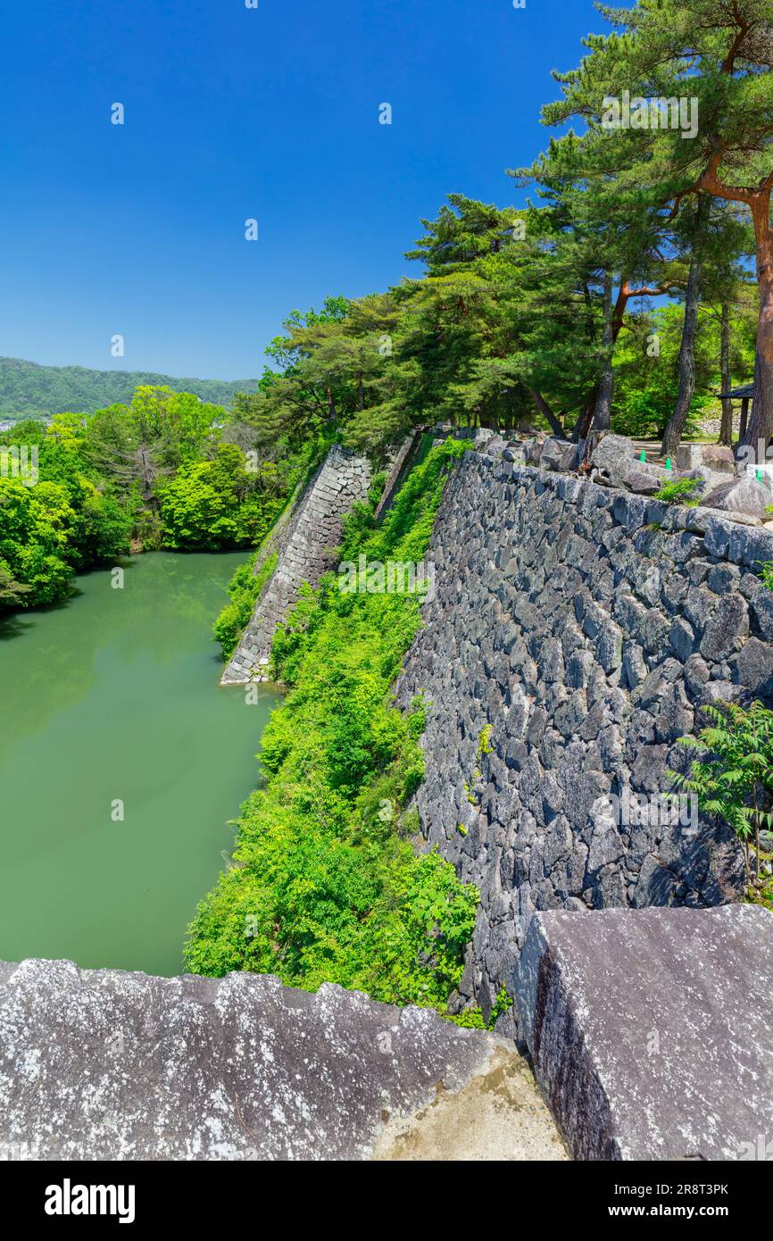 High stonewalls and inner moat of Iga-Ueno Castle in fresh green Stock ...