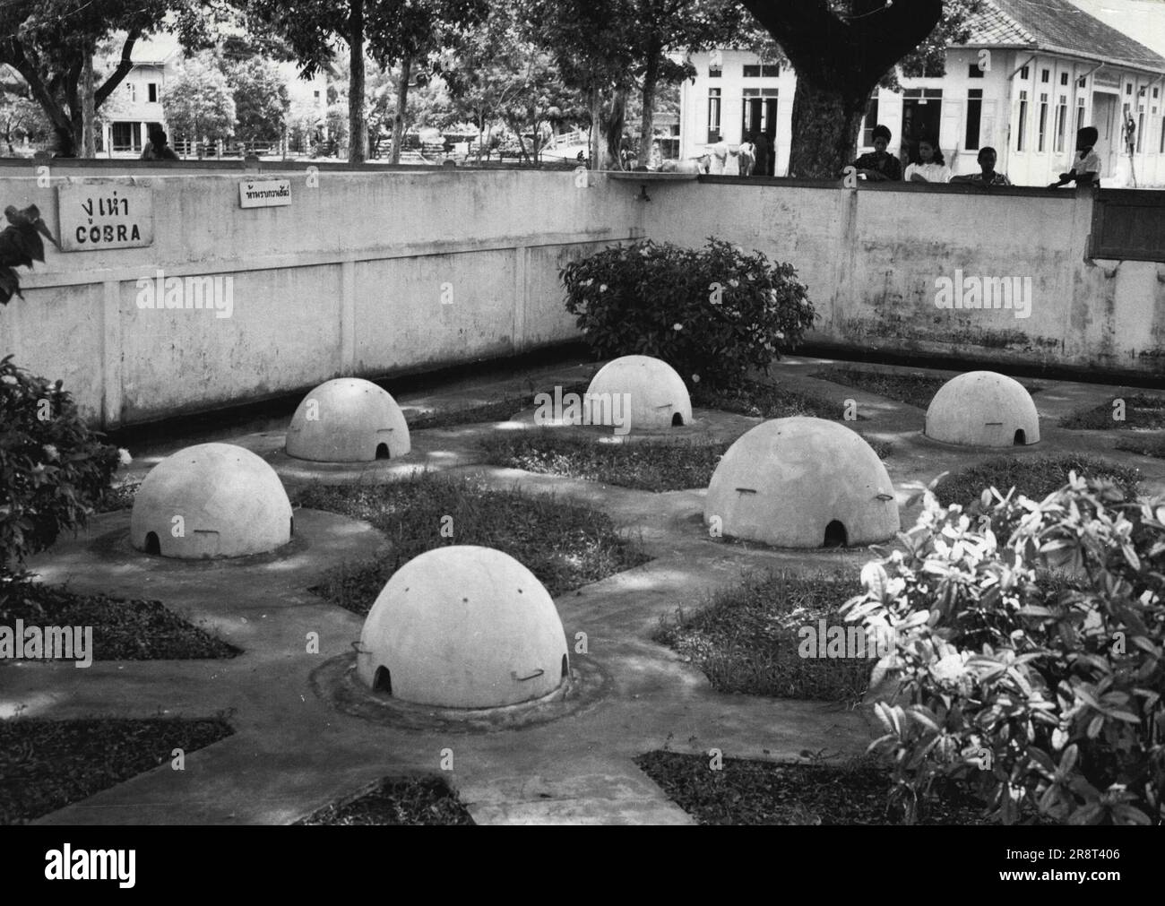 Snake abodes, where the snakes are housed in the grounds of the pasteur ...