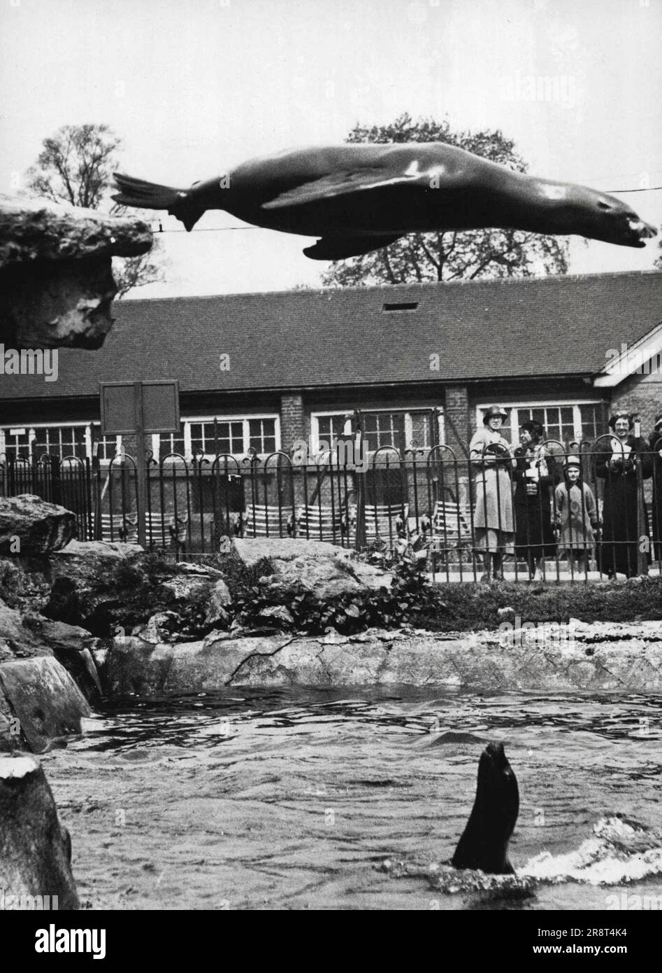 A Visit To London's Popular Zoological Gardens At Regent's Park ...