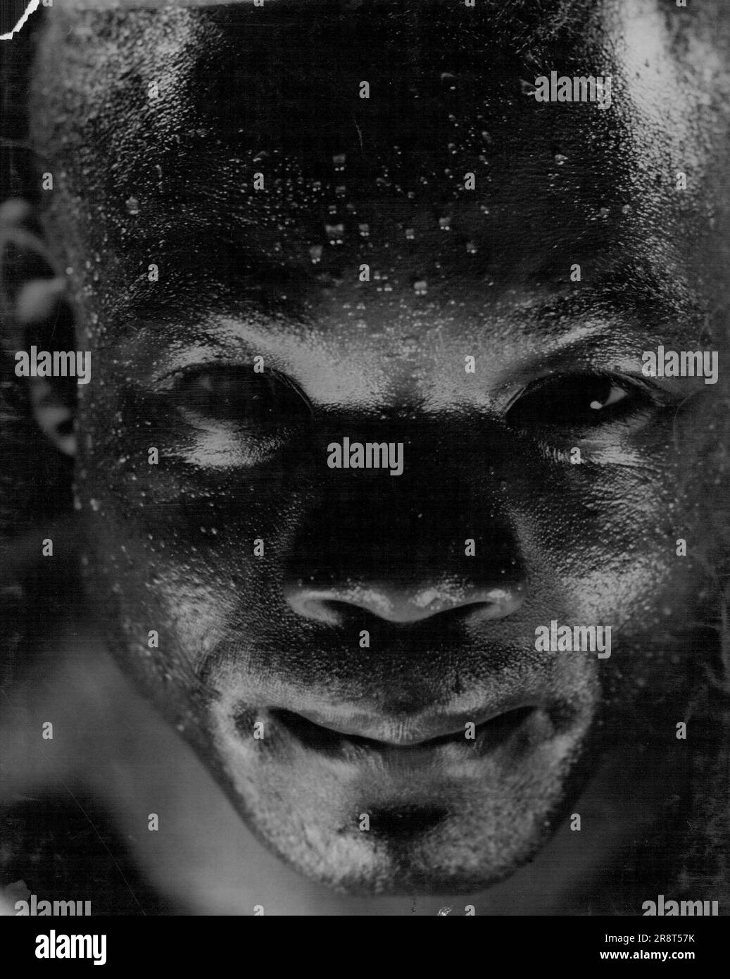 Stewart boxer hi-res stock photography and images - Alamy