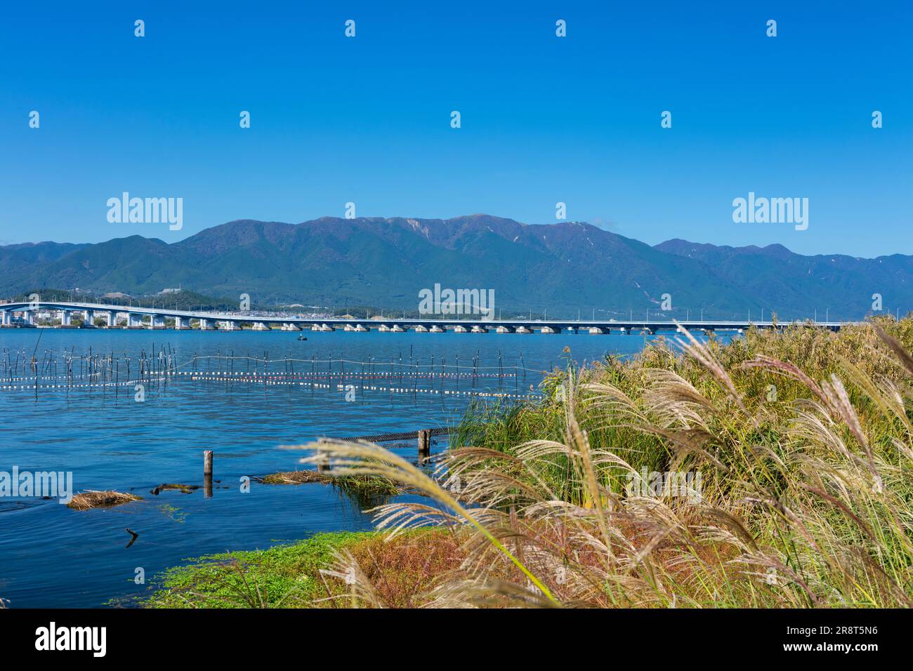 Lake Biwa Bridge and Mt. Hira in Autumn Stock Photo - Alamy