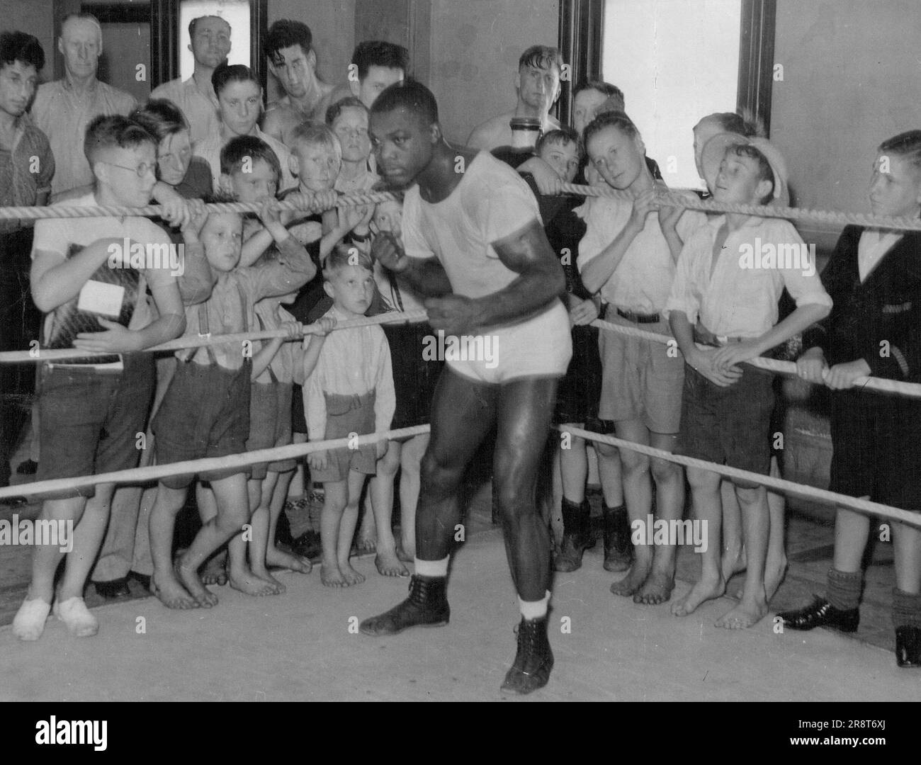 Stewart boxer hi-res stock photography and images - Alamy