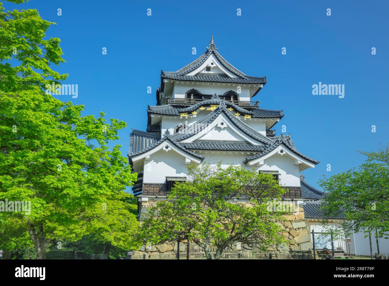 Green roof castle hi-res stock photography and images - Alamy