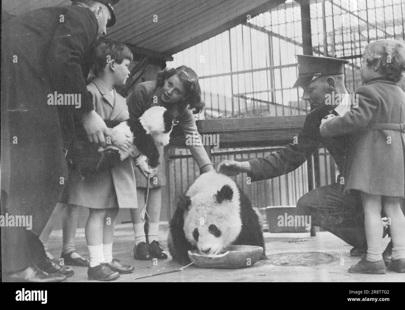 The Princess And The Panda- Princess Alexandra, bamboo shoot in hand ...