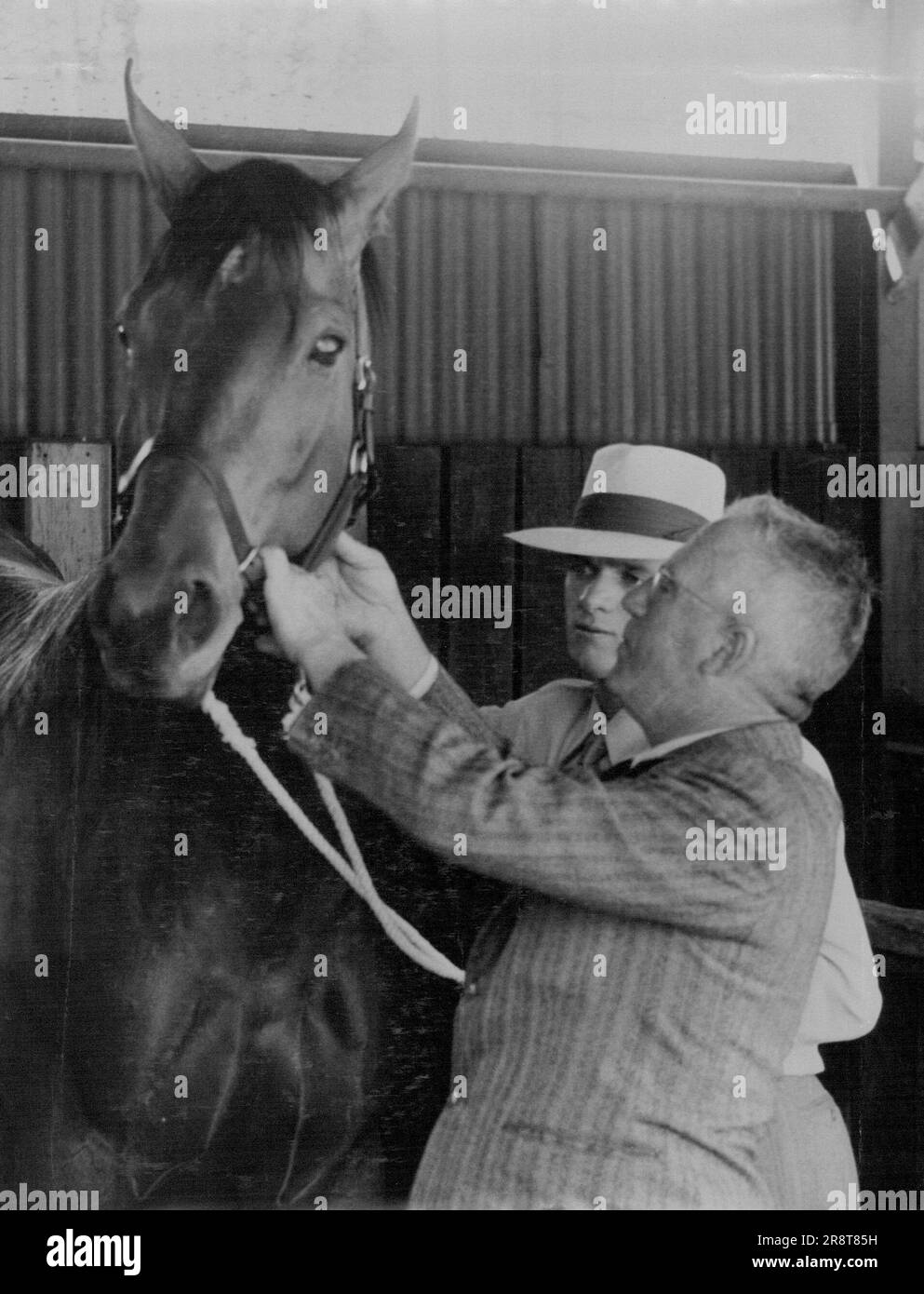 Roy Stewart vet Surgeon. October 07, 1952 Stock Photo - Alamy