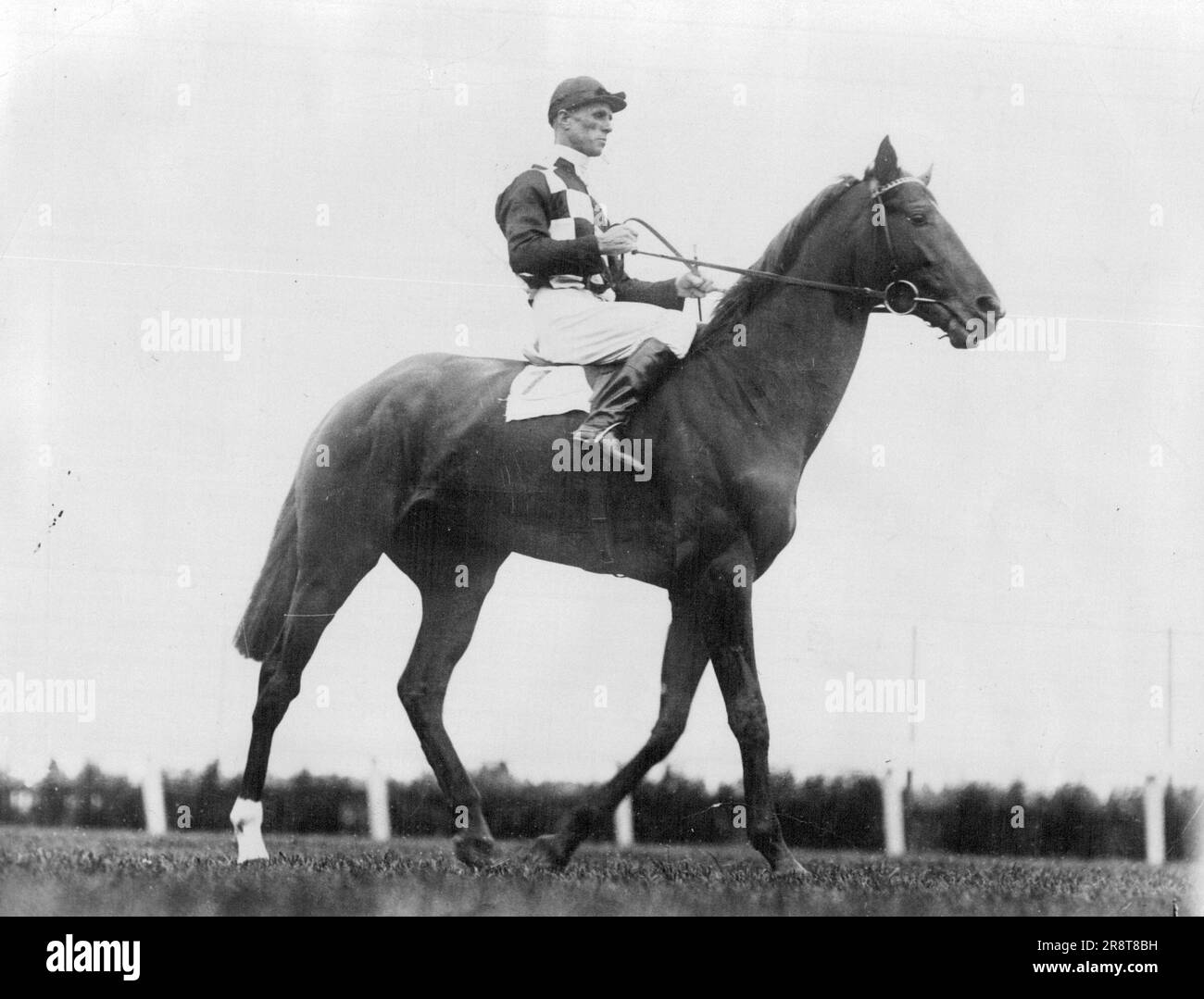 With J. Pike in the saddle, Strephon returns to scale, looking every ...