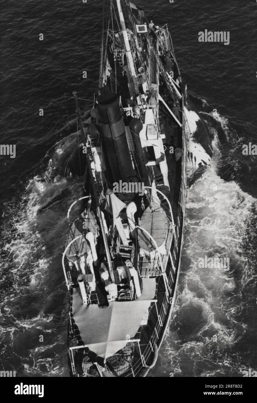 First whales harpooned in Queensland waters - two 45 ft ...