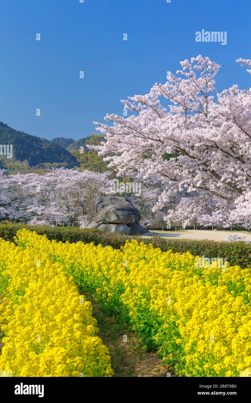 Spring stone stage tumulus Stock Photo - Alamy