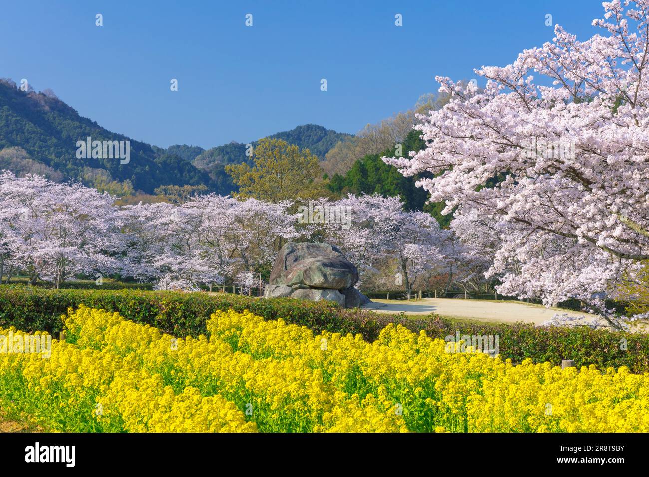 Spring stone stage tumulus Stock Photo - Alamy