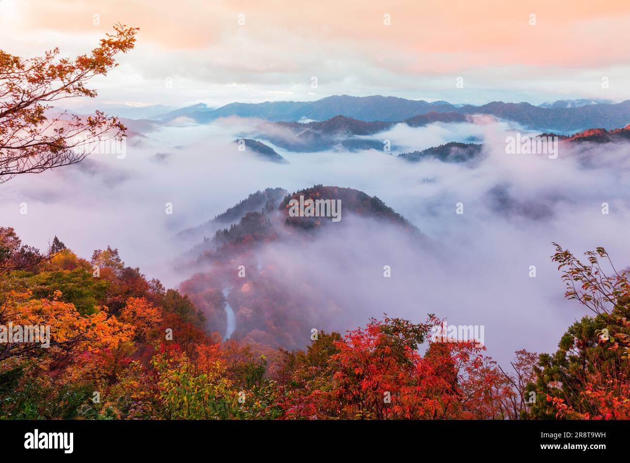 Sea of clouds at Onyu Pass Stock Photo - Alamy
