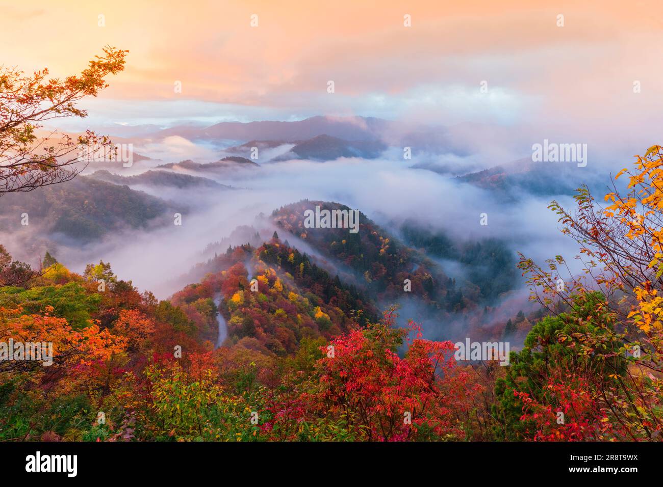 Sea of clouds at Onyu Pass Stock Photo - Alamy