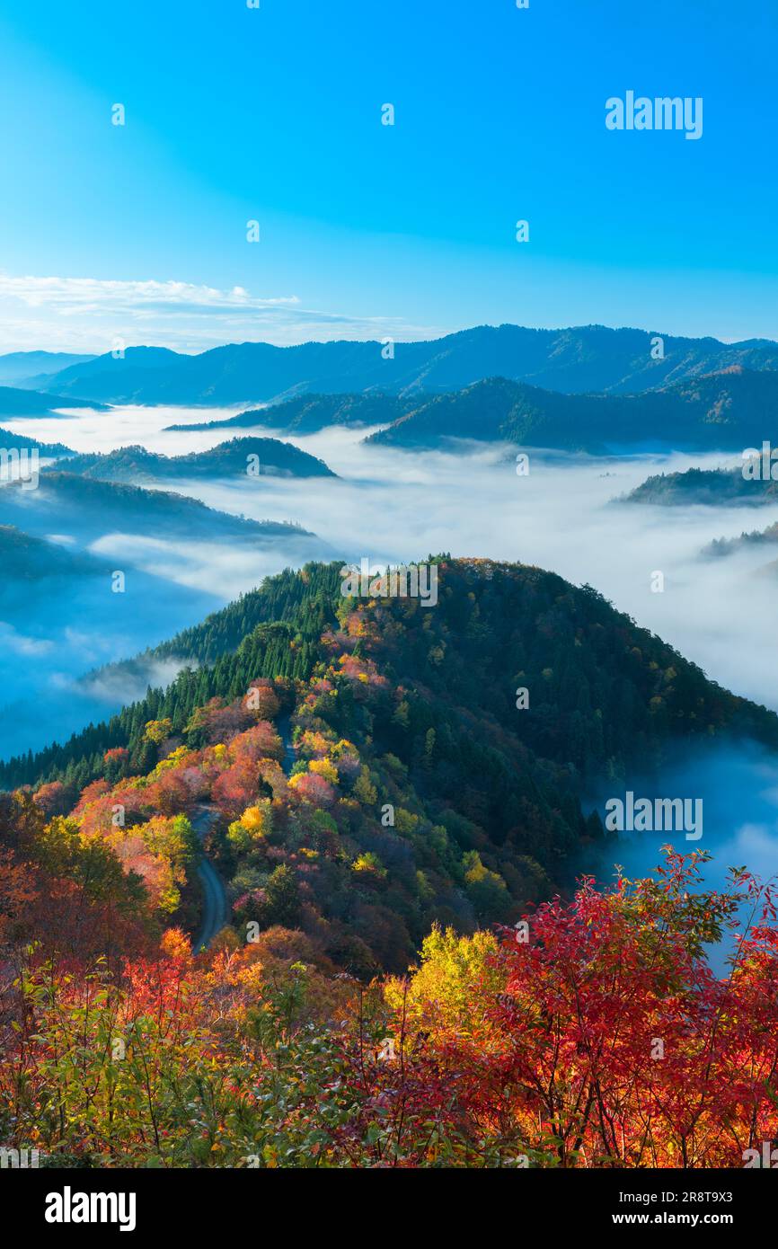 Sea of clouds at Onyu Pass Stock Photo - Alamy