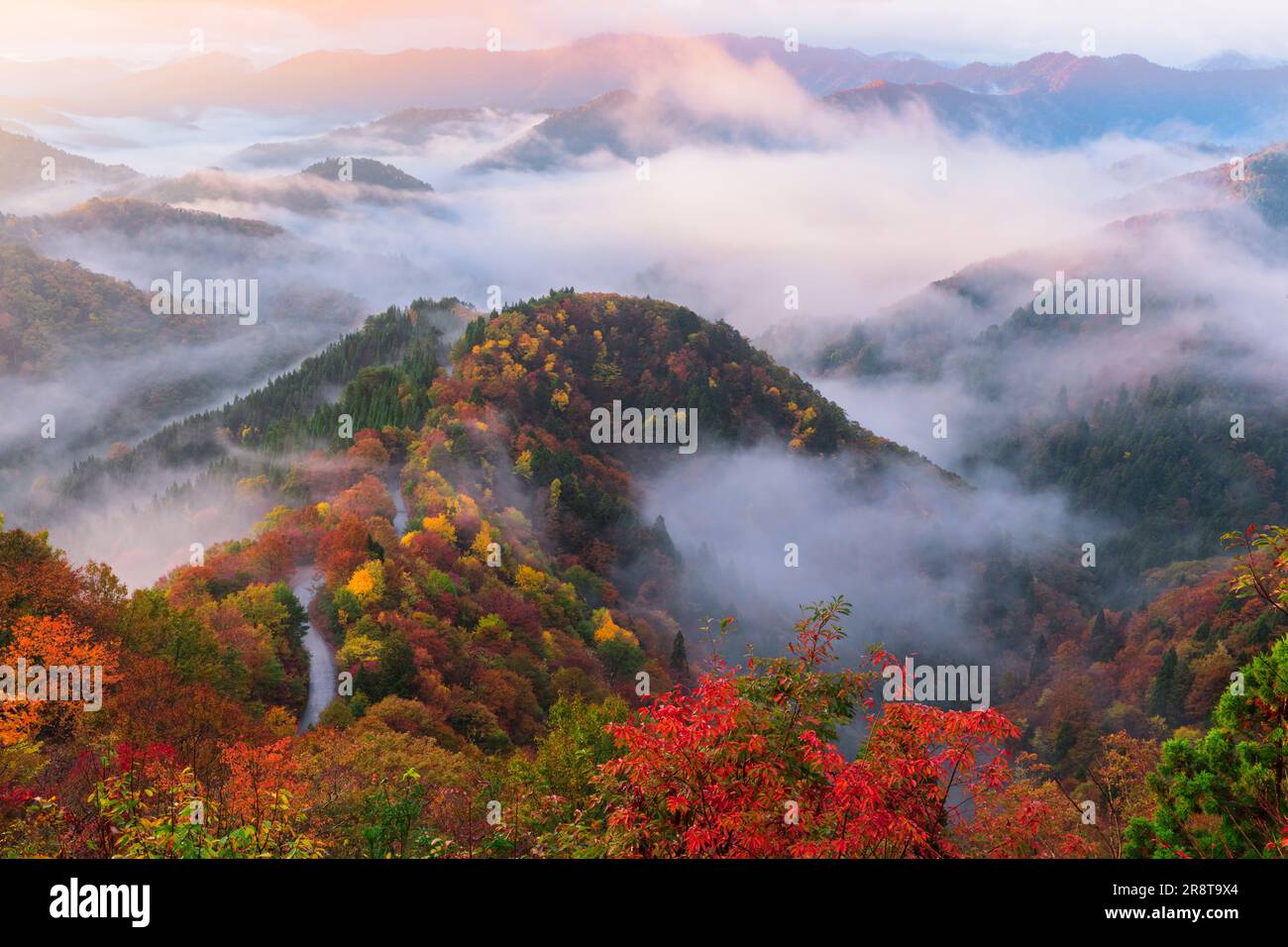 Kutsuki onyudani hi-res stock photography and images - Alamy