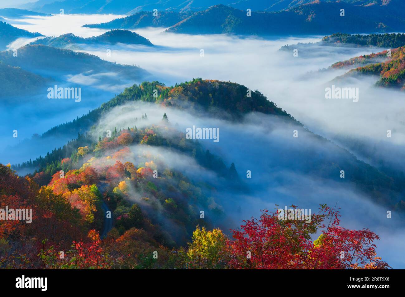 Sea of clouds at Onyu Pass Stock Photo - Alamy