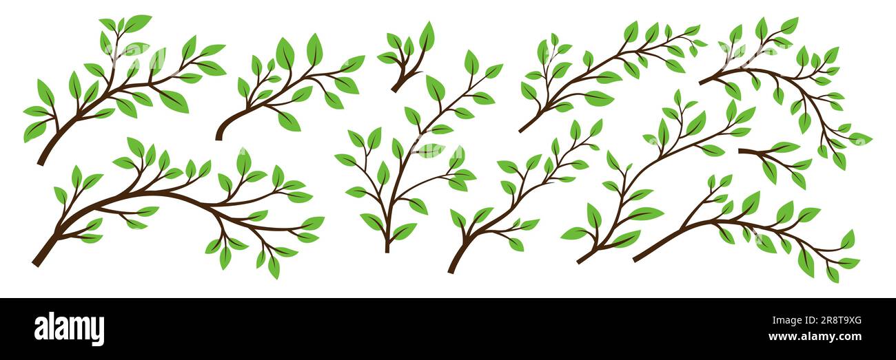 Tree Brunch Icon Set Isolated. Flat Cartoon Simple Twig with Green ...