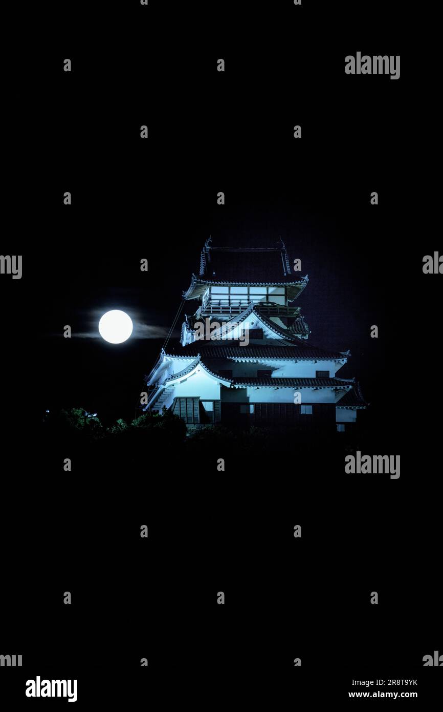 Inuyama Castle under full moon Stock Photo - Alamy