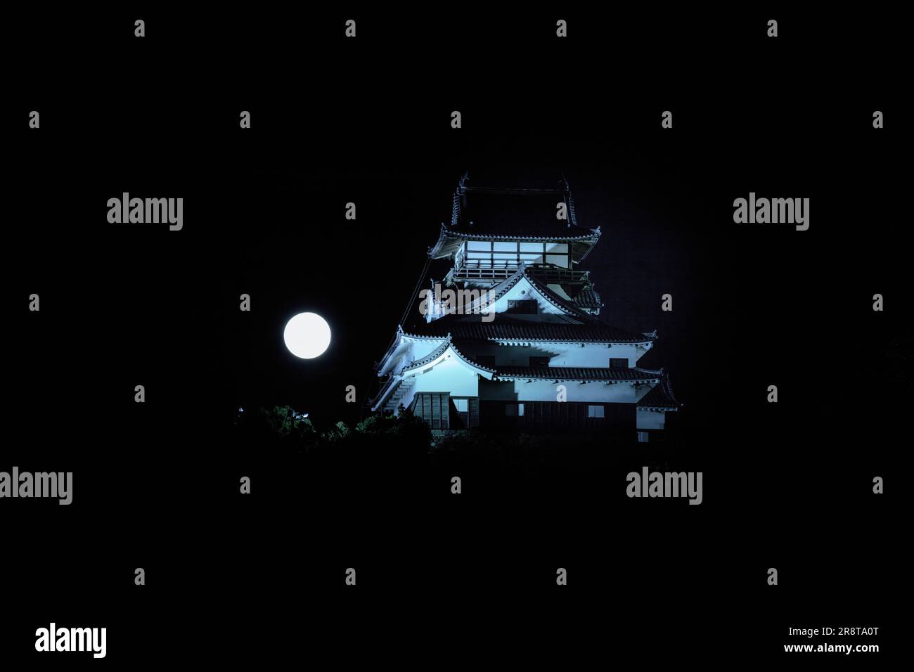 Inuyama Castle under full moon Stock Photo - Alamy