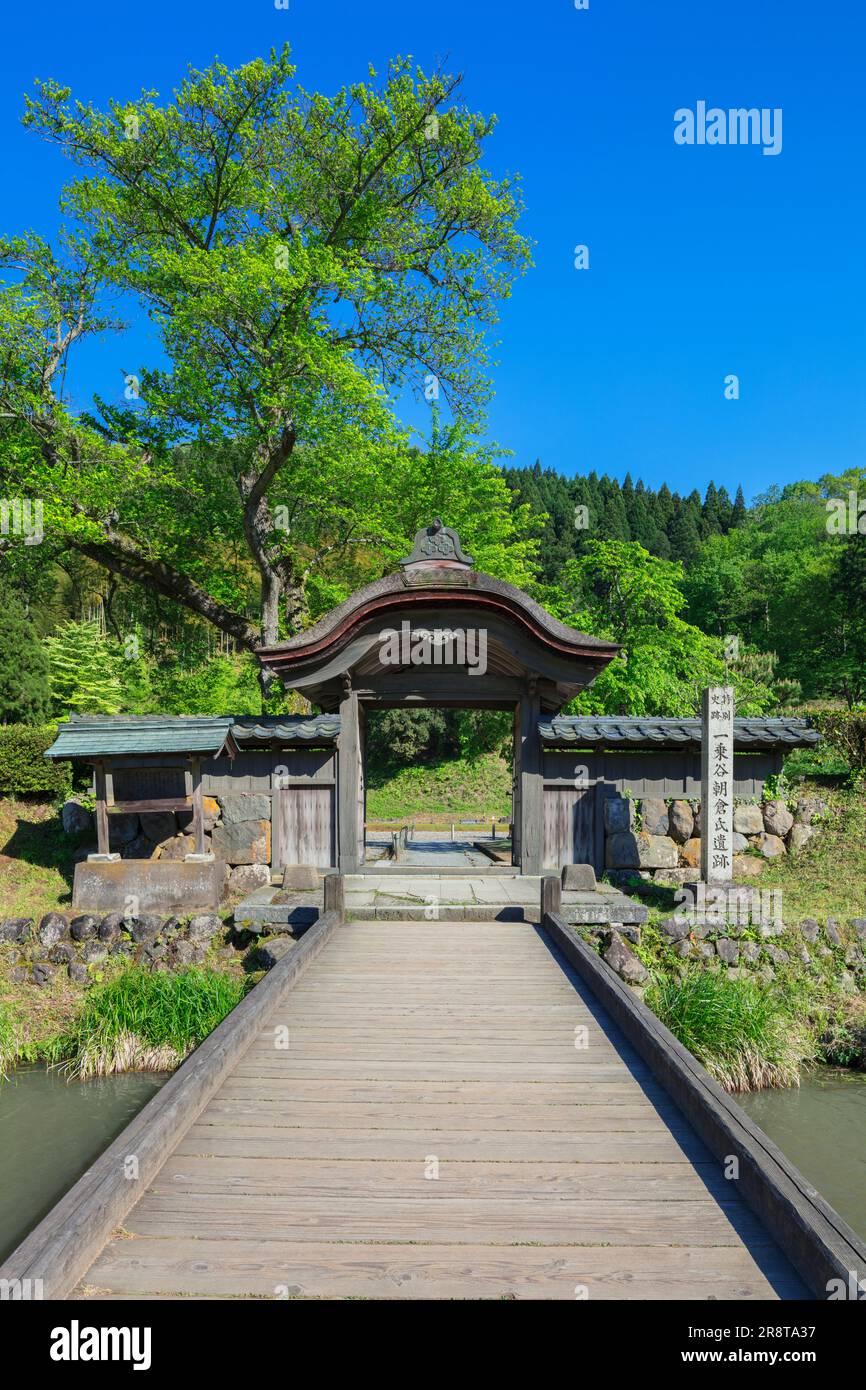 Ichijodani Asakura Clans Ruins in fresh green Stock Photo - Alamy