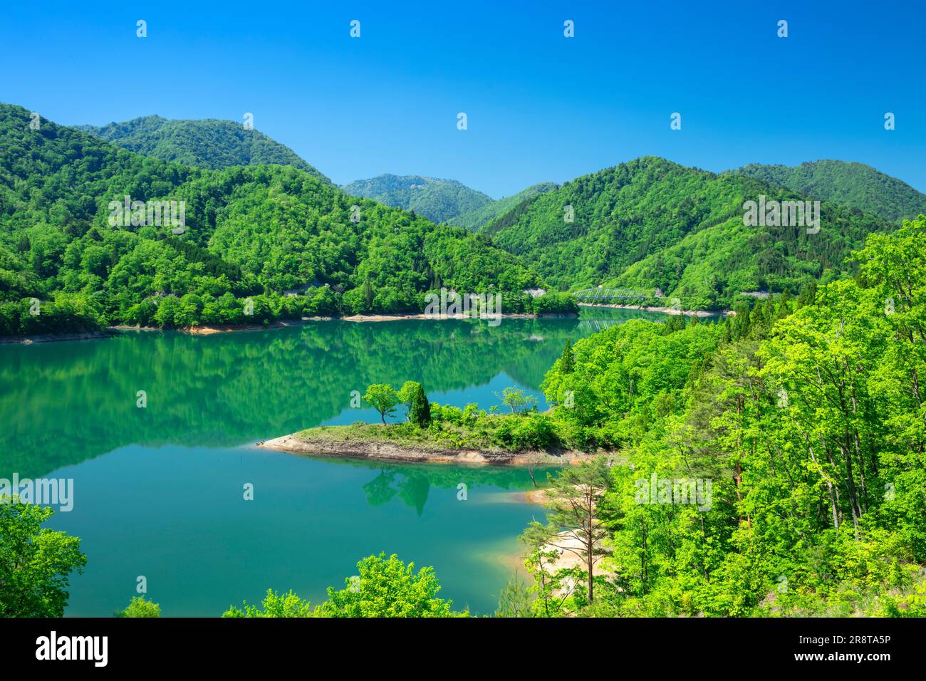 Lake Kuzuryu in fresh green Stock Photo - Alamy