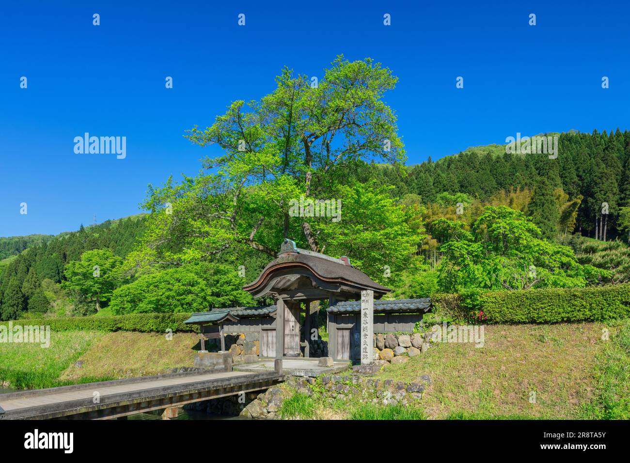 Ichijodani Asakura Clans Ruins in fresh green Stock Photo - Alamy
