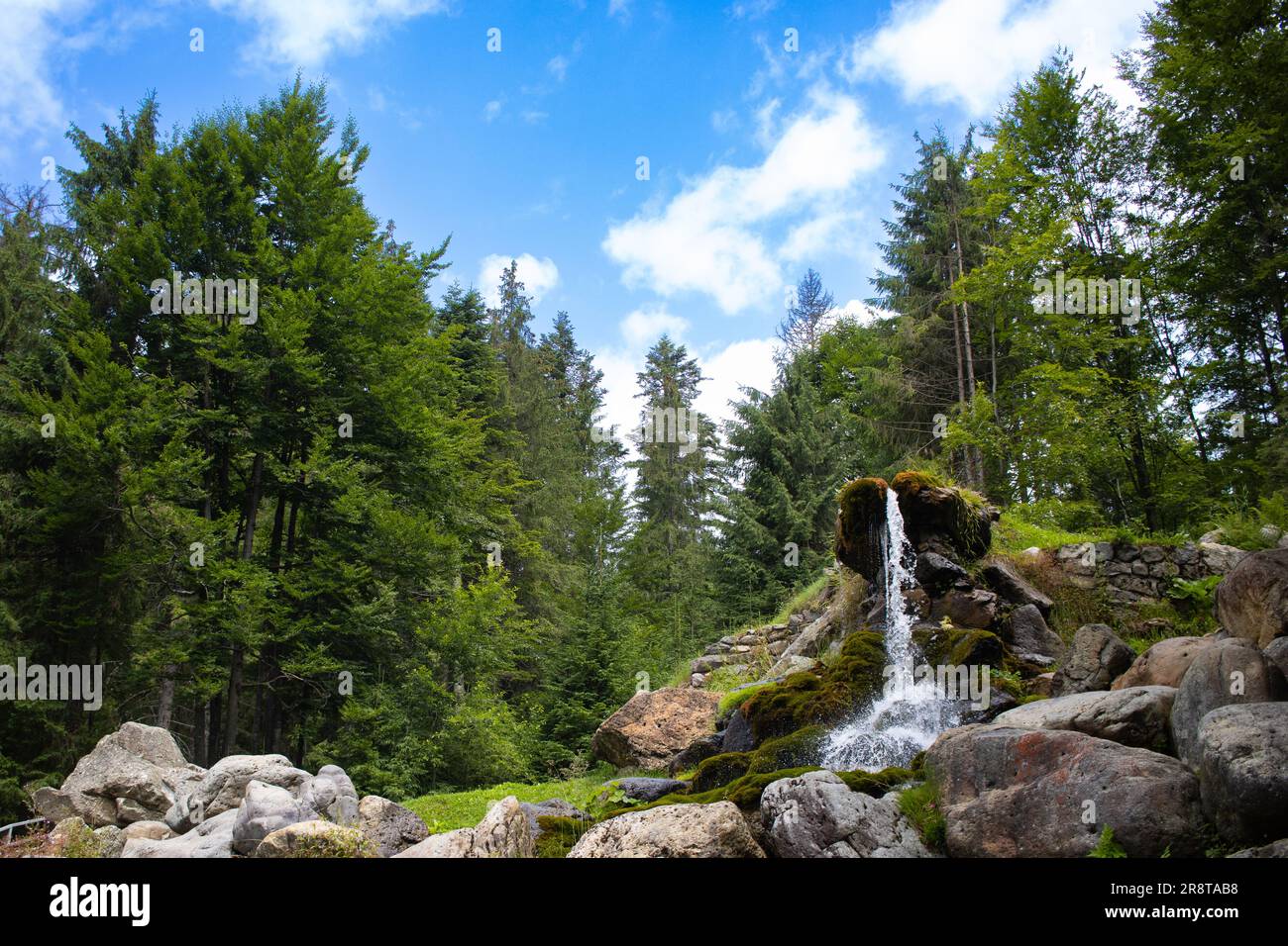Izvorul Minunilor (Wonder Spring), situated in the Apuseni Mountains ...