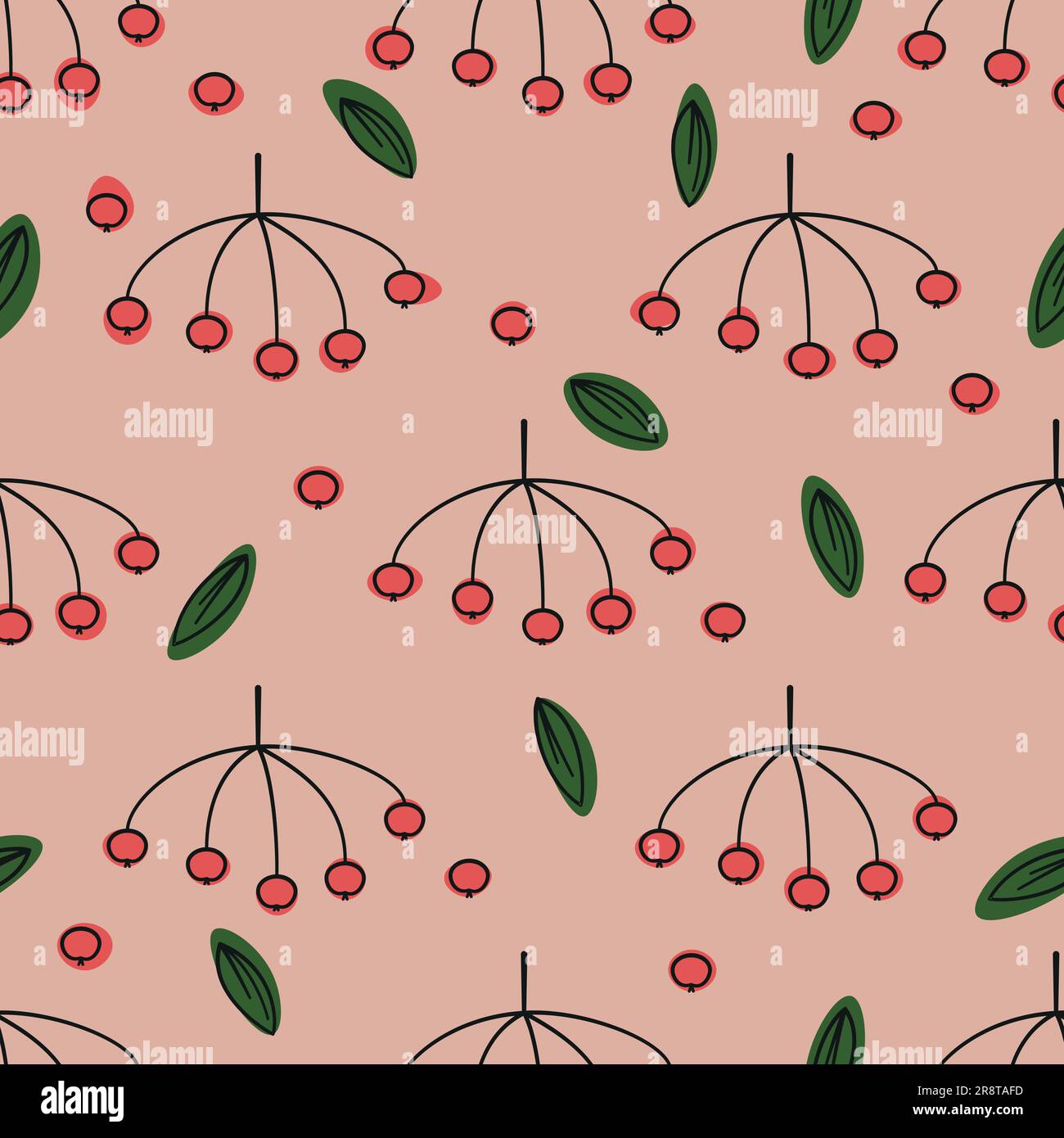 Cranberry plant drawing hi-res stock photography and images - Alamy