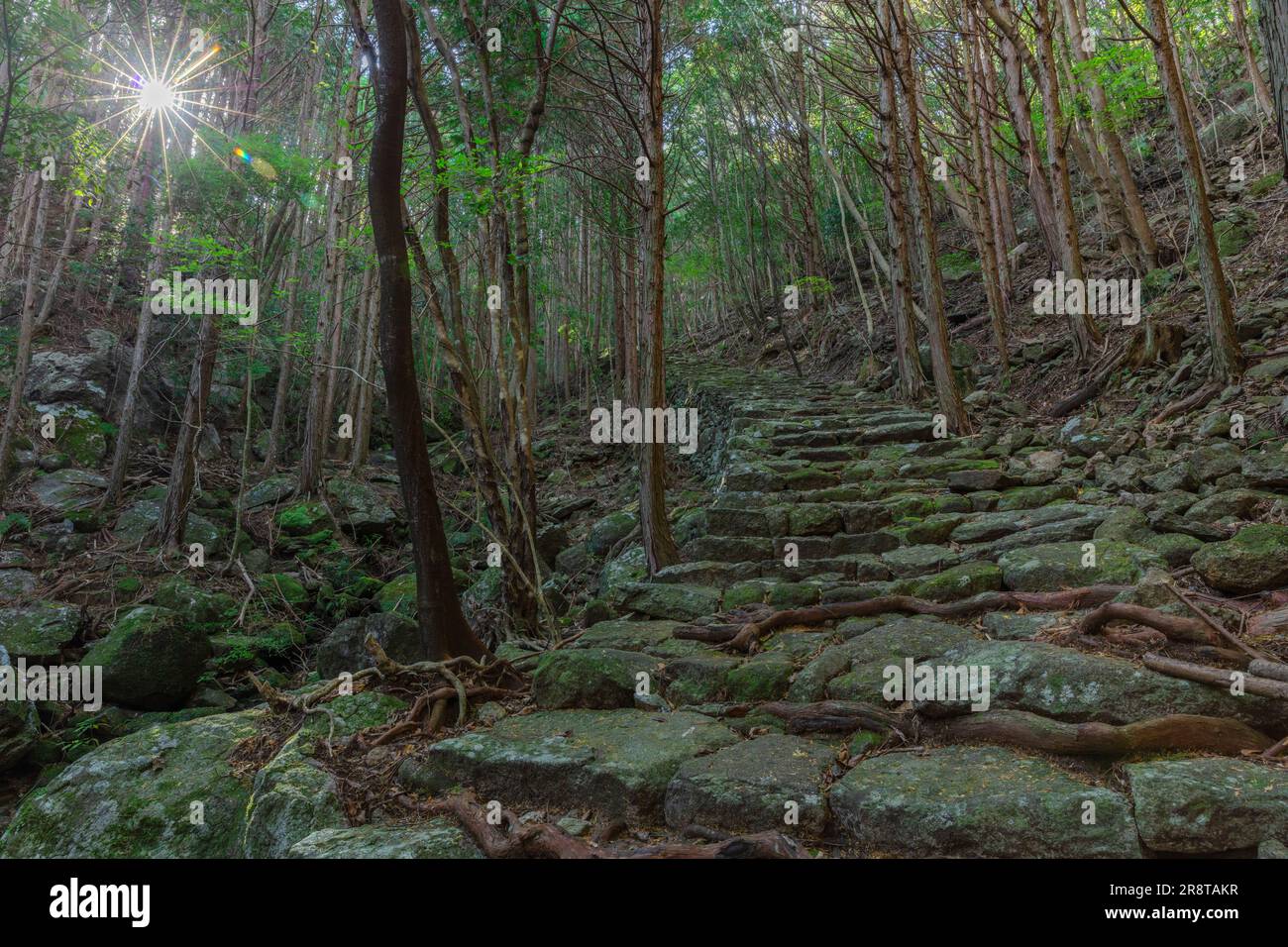Kumano Kodo on Ise Road Stock Photo - Alamy
