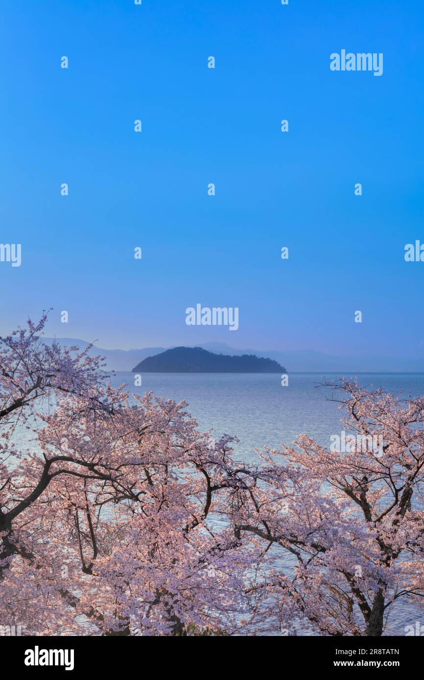 View of Chikubu Island from Kaizu-Osaki in the cherry blossoms Stock ...