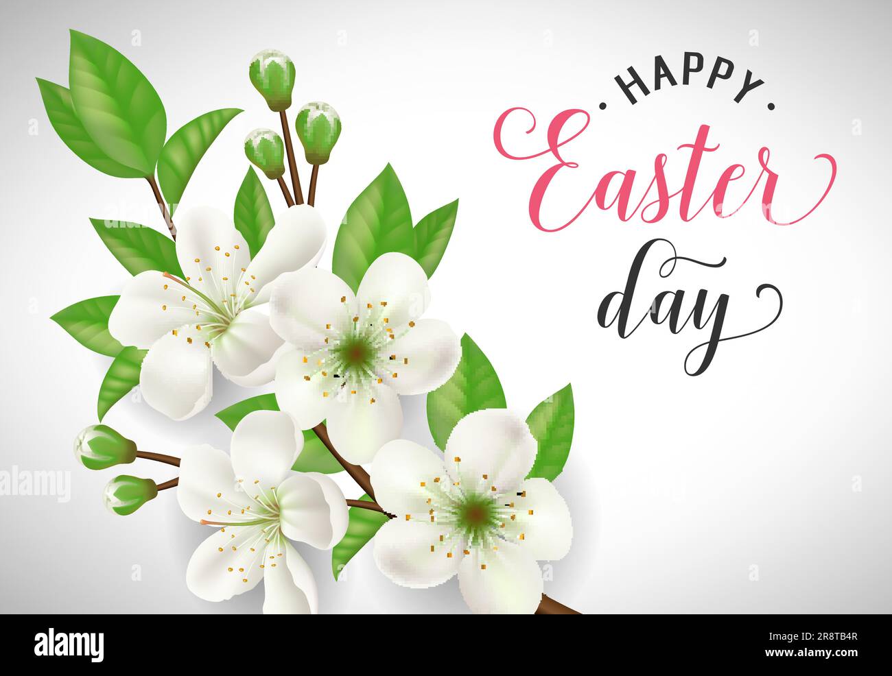 White blooming spring apple Stock Vector Images - Alamy