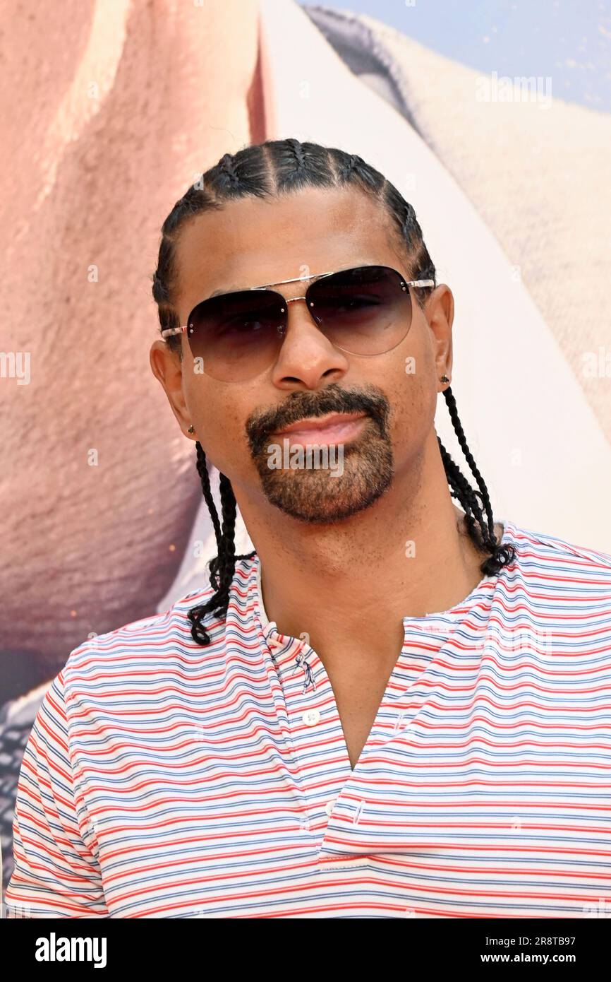 London, UK. 22nd June, 2023. David Haye at UK premiere of Mission ...
