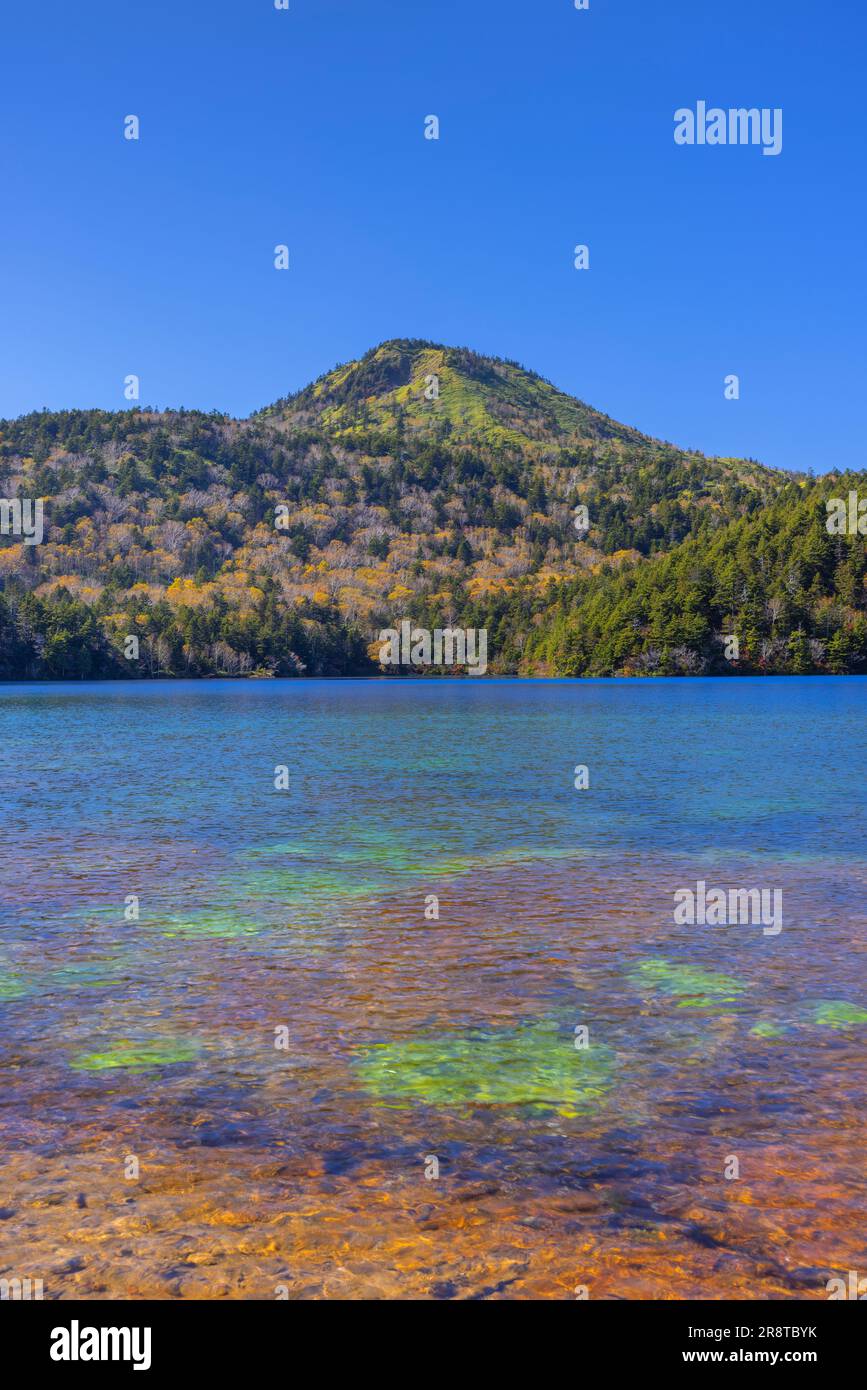 Shigayama hi-res stock photography and images - Alamy