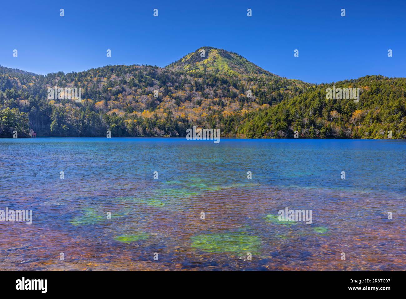 Shigayama hi-res stock photography and images - Alamy