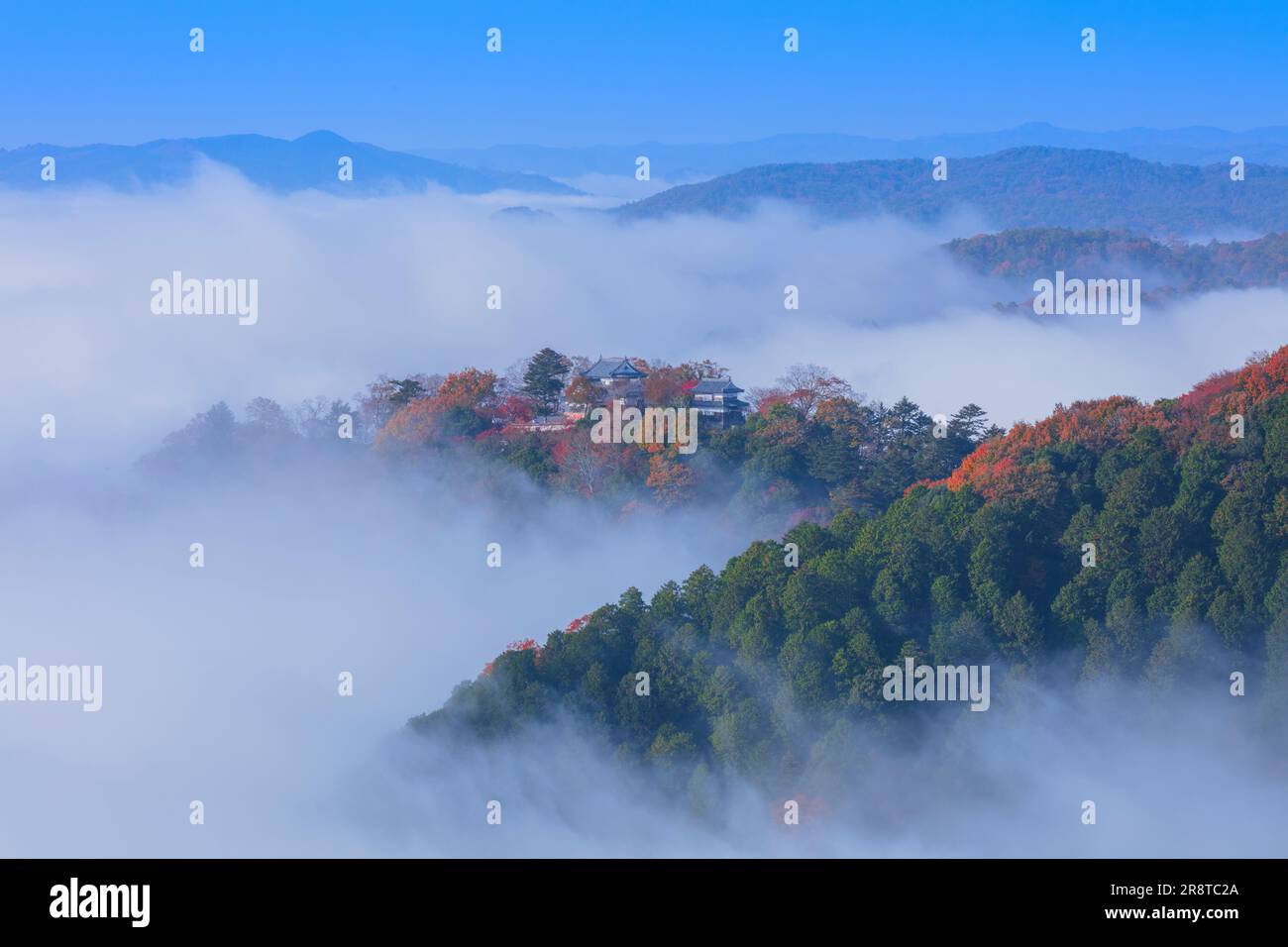 Bicchu Matsuyama Castle and Sea of Clouds Stock Photo - Alamy