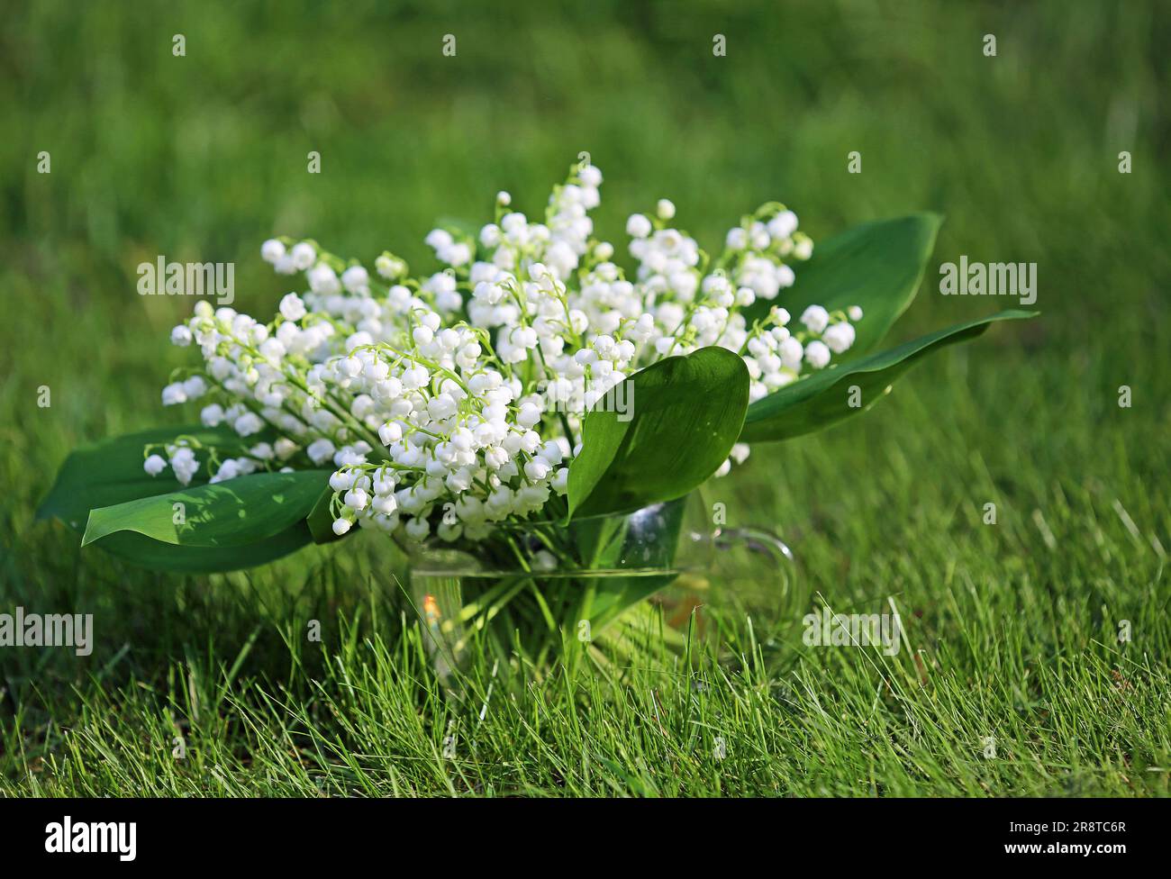 May bouquet hi-res stock photography and images - Alamy