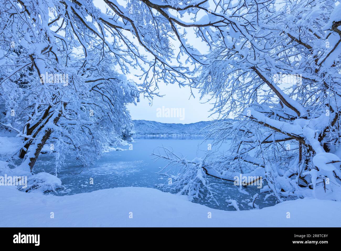 Yogo lake hi-res stock photography and images - Alamy