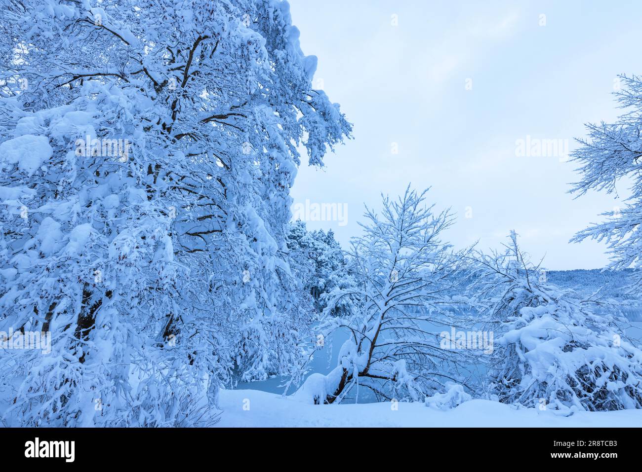 Yogo lake hi-res stock photography and images - Alamy