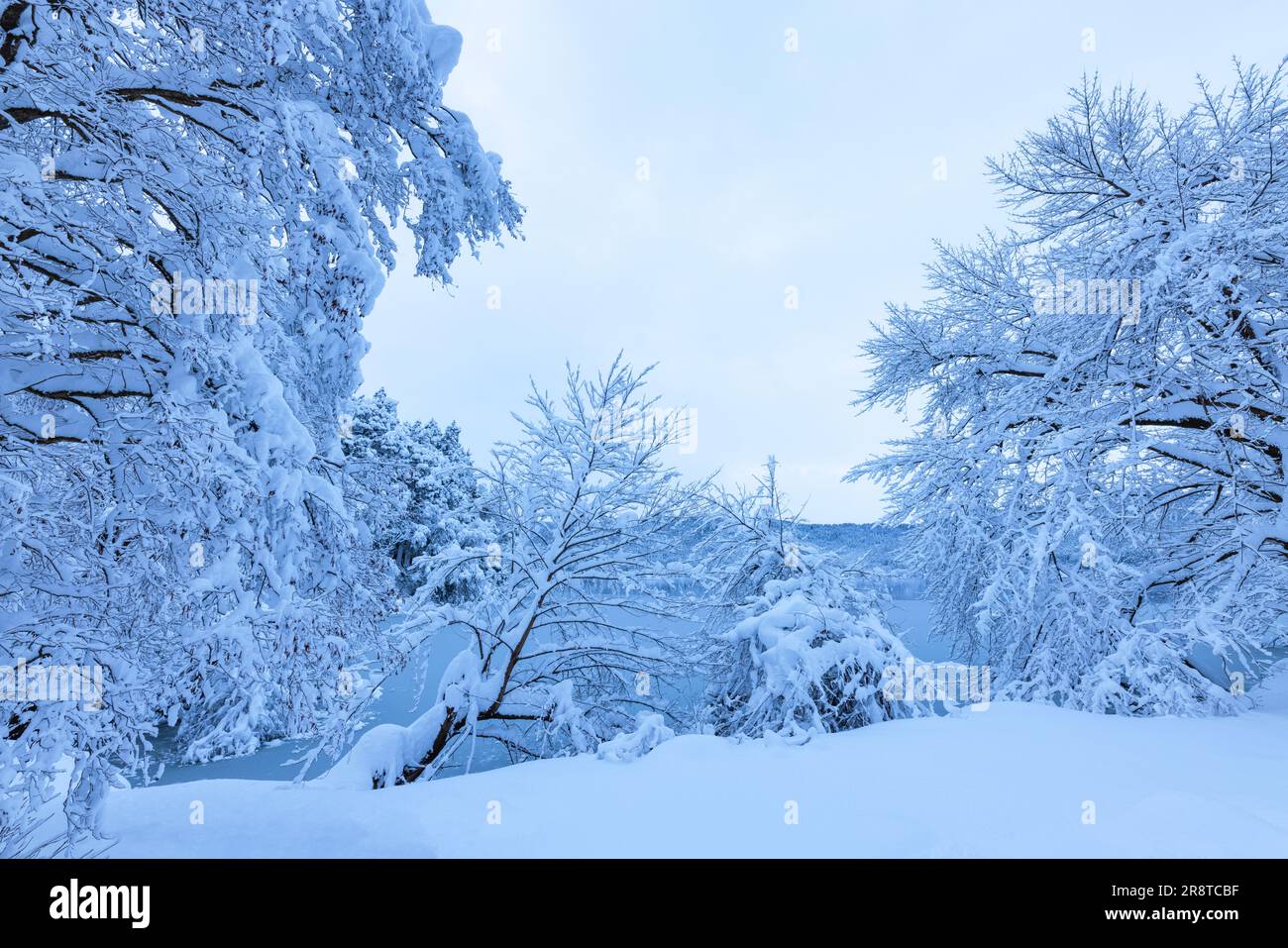 Yogo lake hi-res stock photography and images - Alamy