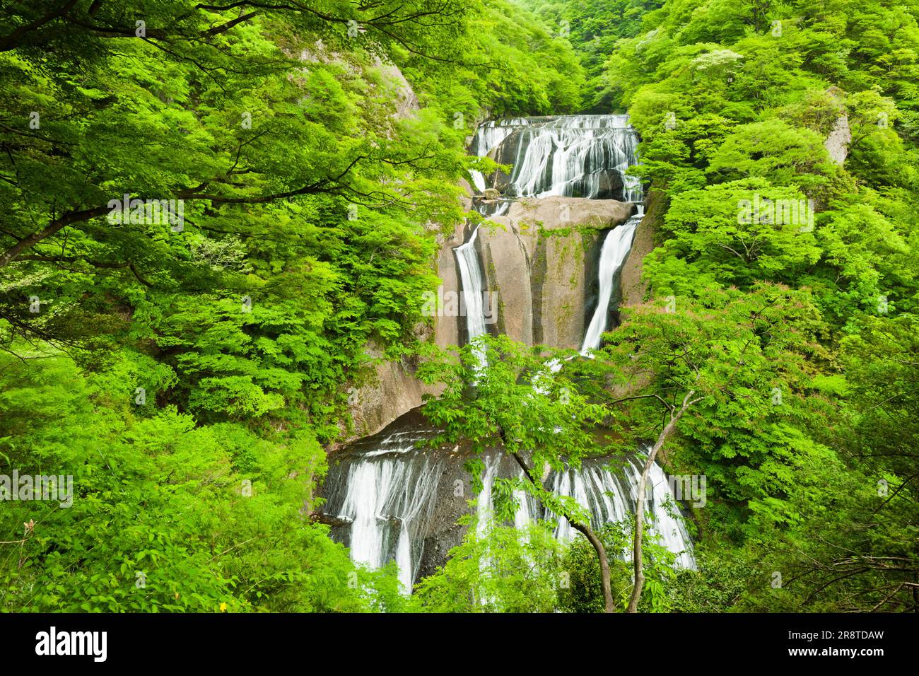 Fukuroda Falls in fresh green Stock Photo - Alamy