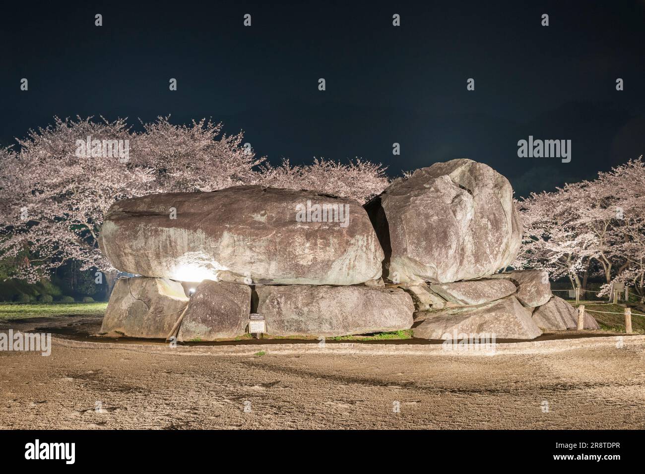 Ishibutai Kofun Tomb in Cherry Blossoms at Night Stock Photo - Alamy