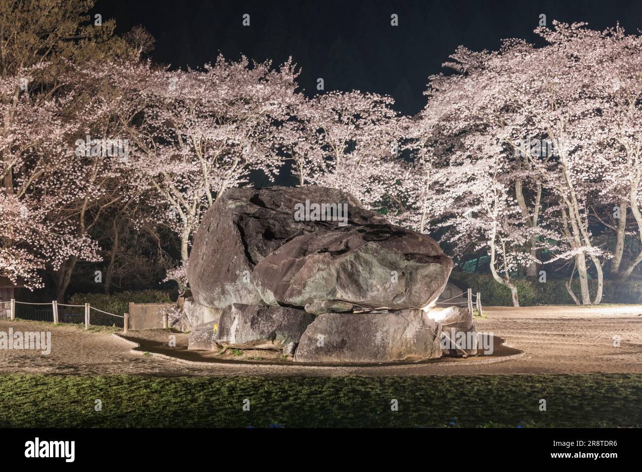 Ishibutai Kofun Tomb in Cherry Blossoms at Night Stock Photo - Alamy