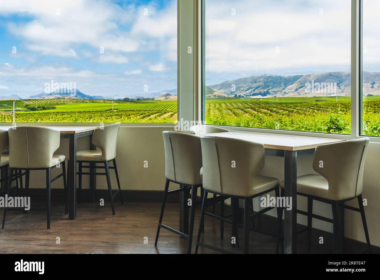 The tasting room at the winery, a gorgeous modern space with windows ...